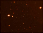 704 Interamnia | The Solar System Wiki | Fandom