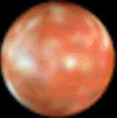 Elara | The Solar System Wiki | Fandom