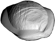 Pan (moon) | The Solar System Wiki | Fandom