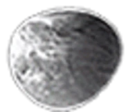 Hiʻiaka | The Solar System Wiki | Fandom