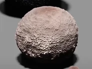 229762 Gǃkúnǁʼhòmdímà | The Solar System Wiki | Fandom