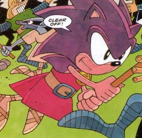 Bravehog | The-sonic-house Wiki | Fandom