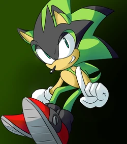 Ashura the Hedgehog | The Sonic Society Wiki | Fandom
