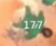Player 177 | Squid Game Wiki | Fandom