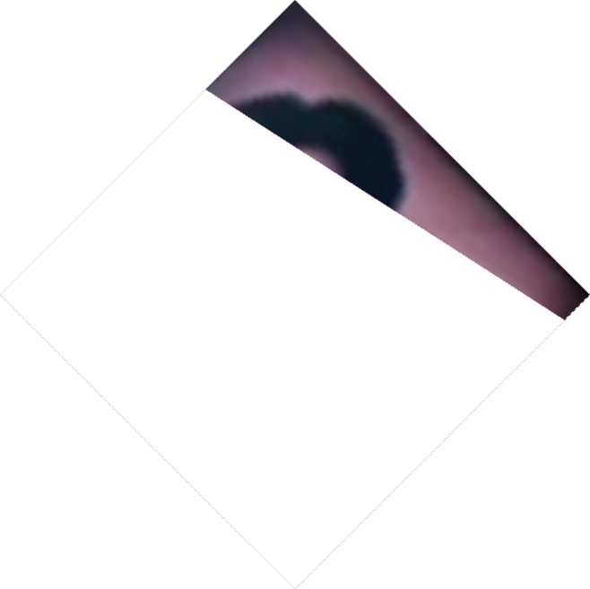 Player 425 (33rd Squid Game) | Squid Game Wiki | Fandom