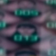 Player 013 | Squid Game Wiki | Fandom
