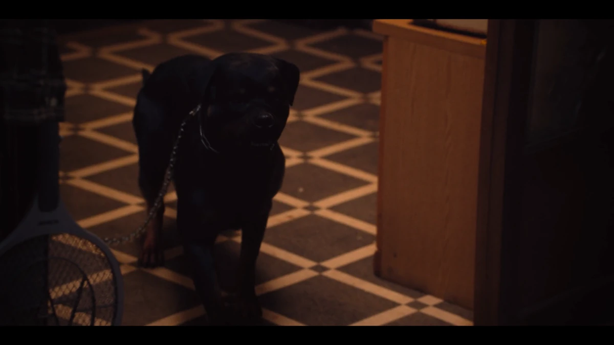 Park Yeong-gil's dog | Squid Game Wiki | Fandom