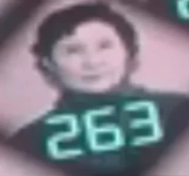 Player 263 (33rd Squid Game) | Squid Game Wiki | Fandom