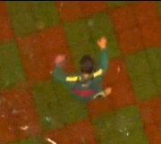 Player 407 (33rd Squid Game) | Squid Game Wiki | Fandom