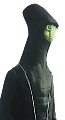 Gekos Liglol | The Star Wars Canon-Fanon Wiki | Fandom