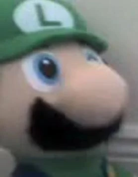 Luigi | The Super Luigi Show Wiki | Fandom