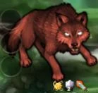 Loup roux | Wiki The Therian Saga | Fandom