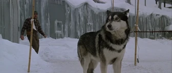 Kennel-Thing | The Thing | Fandom