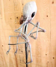 Pod creatures | The Thing | Fandom