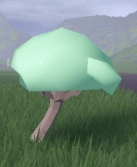 Persian Walnut Sapling | The Third Crusade Wiki | Fandom