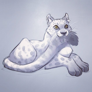 Ghost Leopard | Throne of Glass Wiki | Fandom