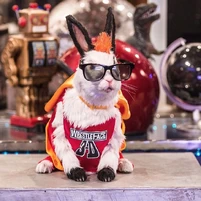 Dr. Colosso/Gallery | The Thundermans Wiki | Fandom