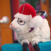 Dr. Colosso/Gallery | The Thundermans Wiki | Fandom