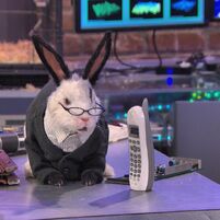 Dr. Colosso/Gallery | The Thundermans Wiki | Fandom