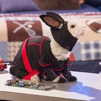 Dr. Colosso/Gallery | The Thundermans Wiki | Fandom