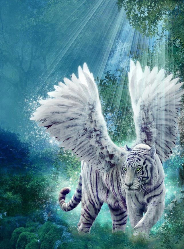 Asero | The Timeless Wiki | Fandom