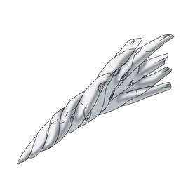 Bone | The Time of Ninja Wiki | Fandom