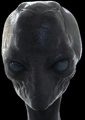 Zerg | The Tome of Legends Wiki | Fandom