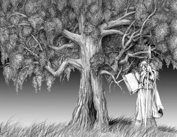 Zeus Oak Tree
