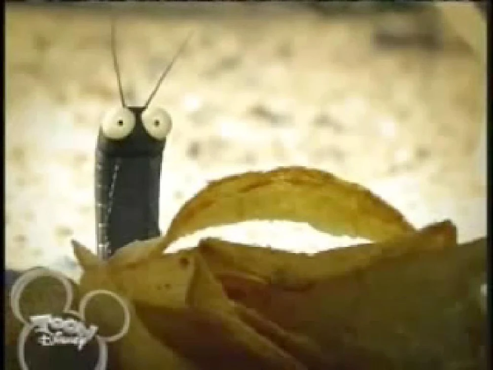 August 15, 2007 | Toon Disney Wiki | Fandom