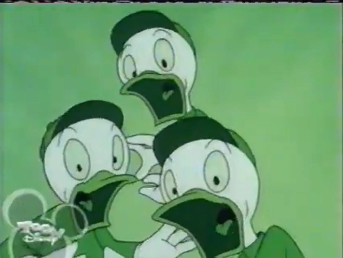 May 11, 2005 | Toon Disney Wiki | Fandom