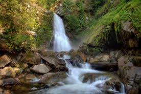 The Town of Falling Creek Wiki | Fandom