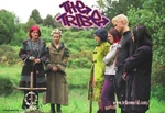 Jay | The Tribe Wiki | Fandom