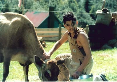 Series 2 Episode 37 | The Tribe Wiki | Fandom