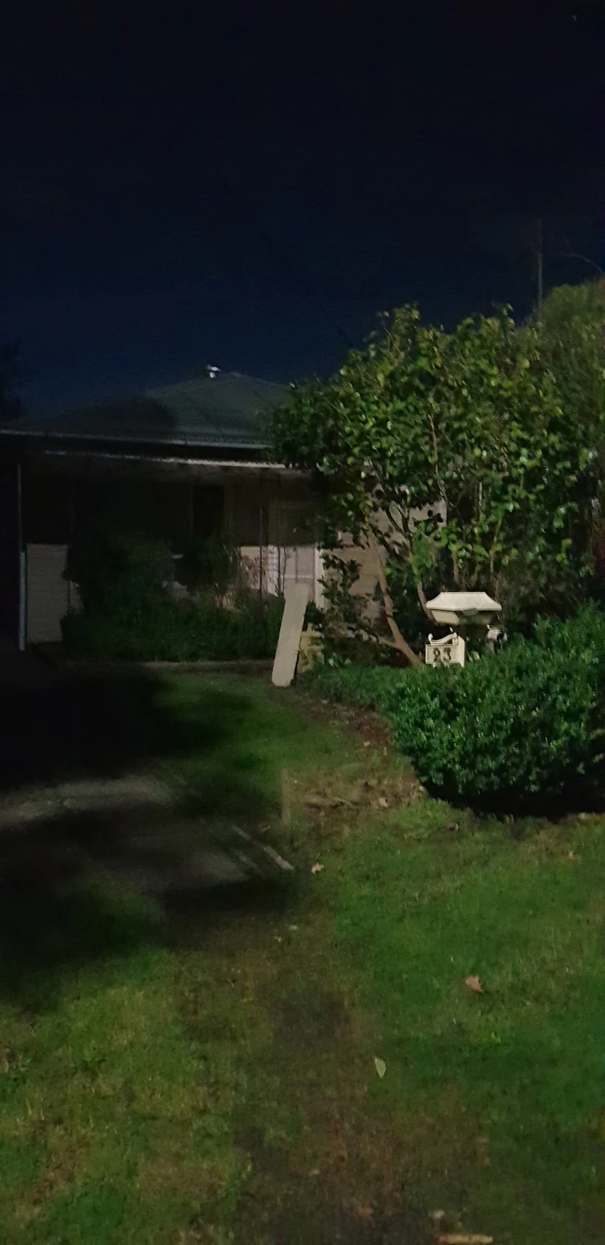 Martin Dixon | Thetricksterandtheban Wiki | Fandom