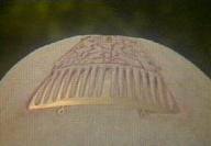 Cap | The Tripods Wiki | Fandom