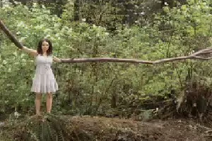 Forest Grump | The Troop Wiki | Fandom