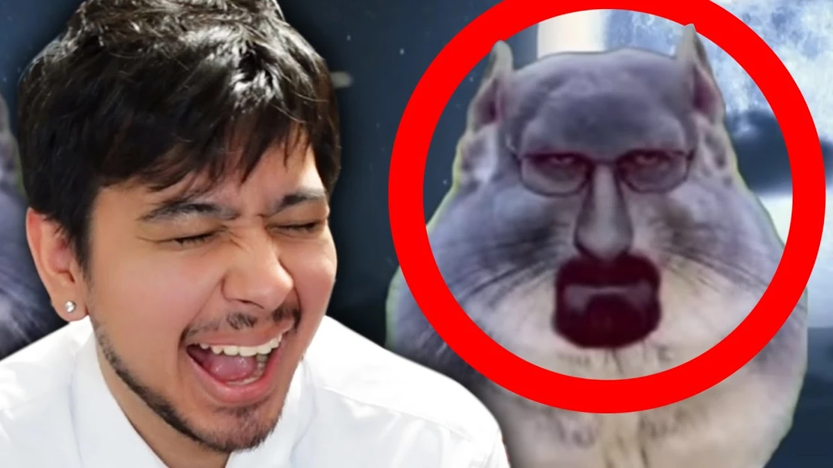 Ranking Your UNHINGED IG Reels.. | Tuv Wiki | Fandom