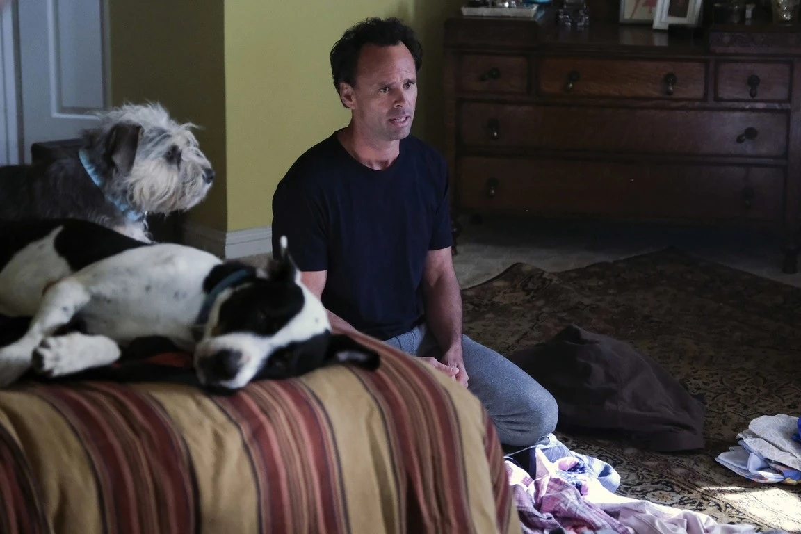 Pilot | The Unicorn Wiki | Fandom