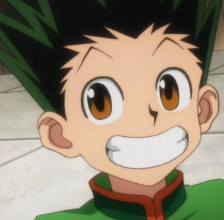 Gon Freecss | The United Organization Toons Heroes Wiki | Fandom