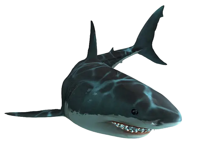 Great White Shark (Jaws) | The United Organization Toons Heroes Wiki ...