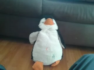 Animals | The Uniworld Wiki | Fandom