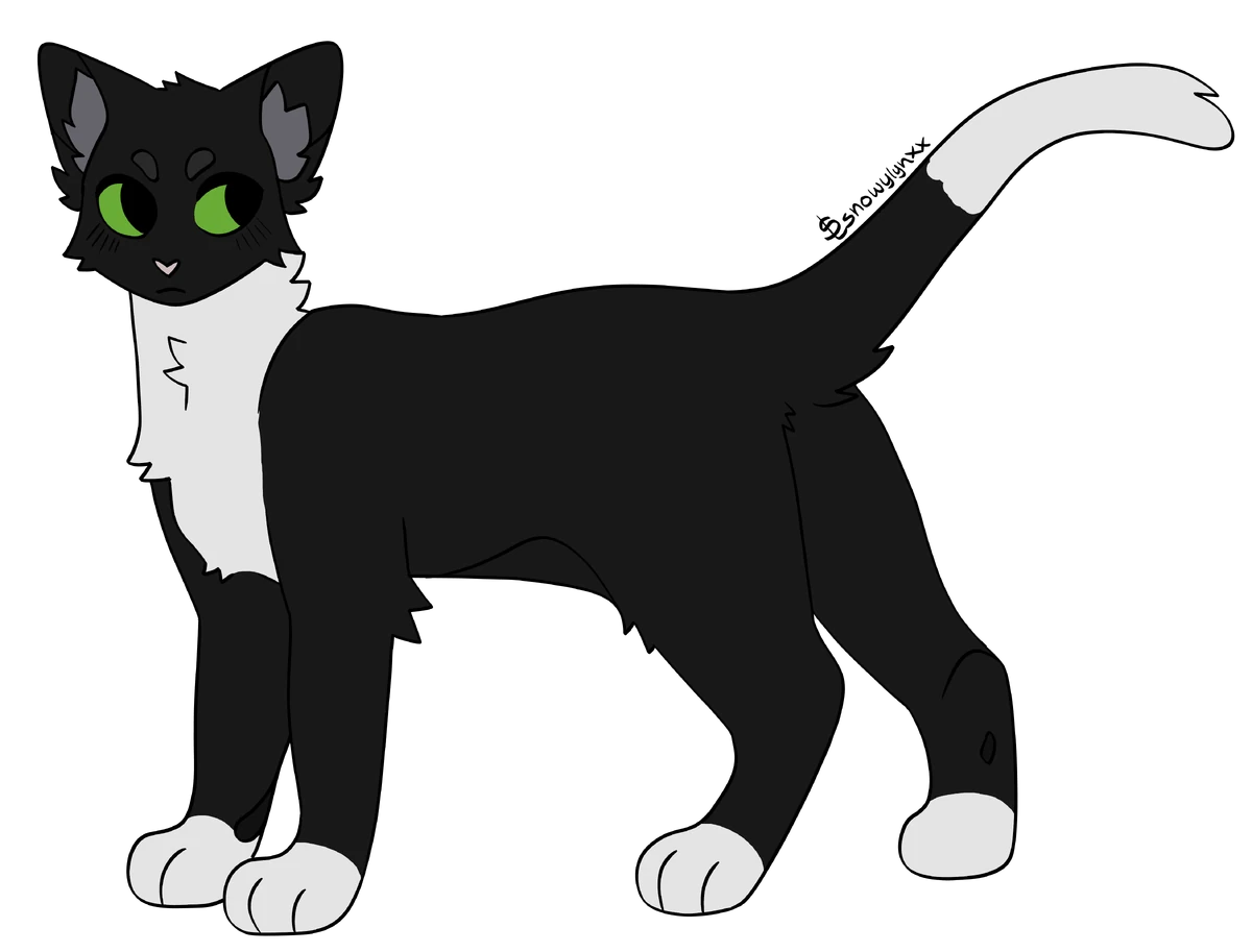 Pebble | TheUntoldProphecy Wiki | Fandom