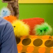 Schmuzzies | The Upside Down Wiki | Fandom