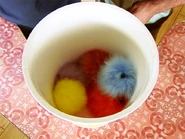 Schmuzzies | The Upside Down Wiki | Fandom