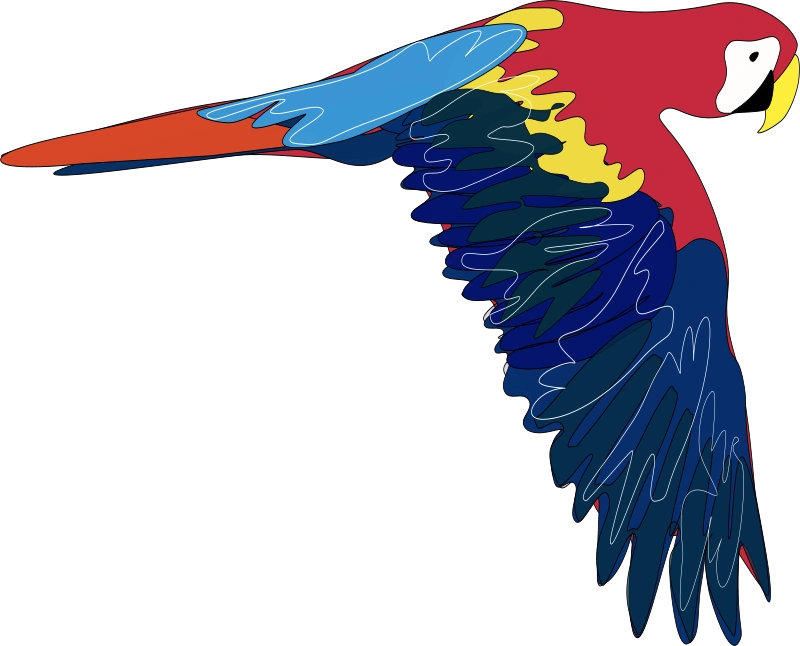 Parrot | The Everything Comparison Wiki | Fandom
