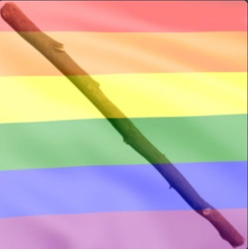 Stick of Wisdom | TheVHHouse Wiki | Fandom