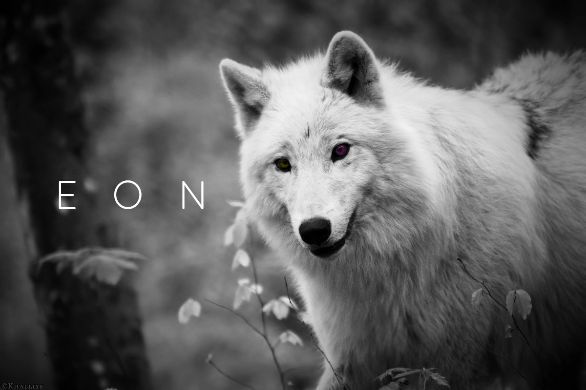 Eon | TheVindicated Wiki | Fandom