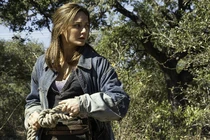 The Beginning | The Walking Dead Wiki | Fandom