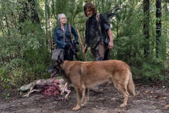 Find Me | The Walking Dead Wiki | Fandom