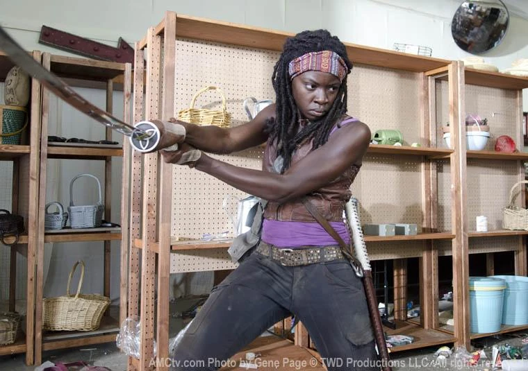 Michonne Hawthorne/temporada 3 | The Walking Dead Wiki | Fandom